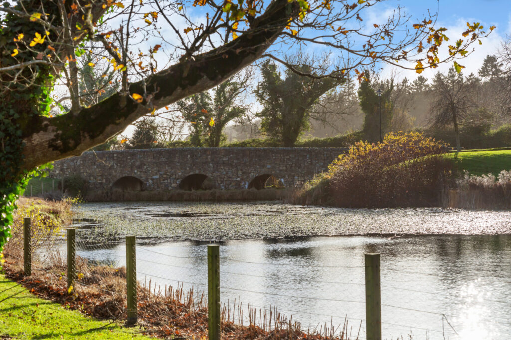 13 Druid’s Court, Druid’s Glen, Newtownmountkennedy, Co. Wicklow. – O ...